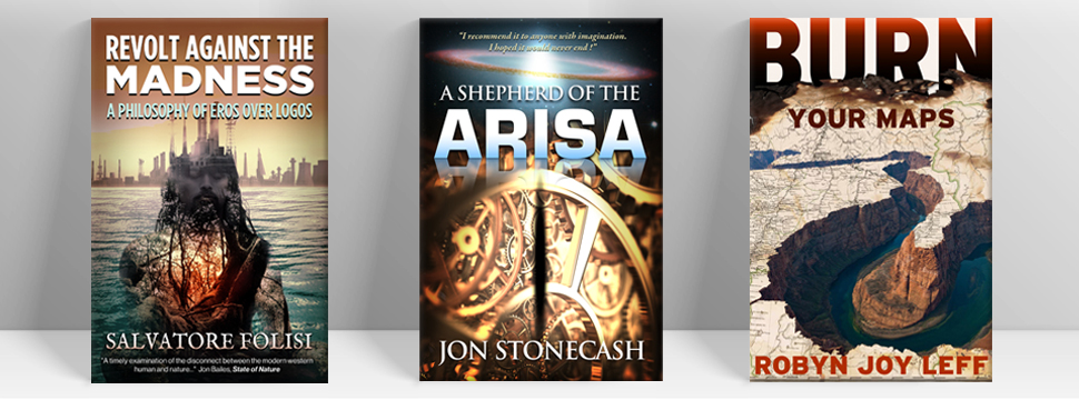 Best Cheap Book Cover Designs: Get them at Vision Press.